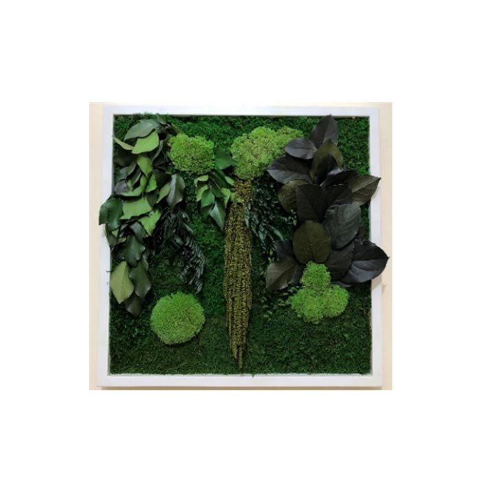 Preserved Greenery with framePreserved Greenery with frame | Indoor ...