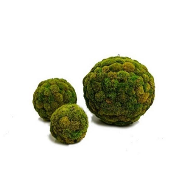 Preserved Moss ball | Indoor Plants Riyadh | Bostan